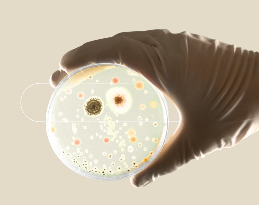 Blogs menu page – biomiq